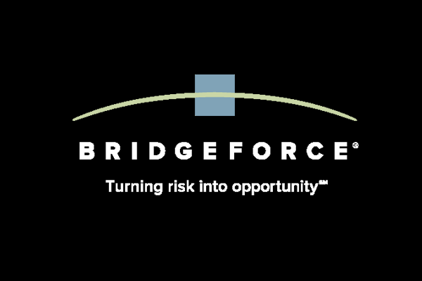 Credit Strategy - Media Library - Marketplace Logo - Bridgeforce.png