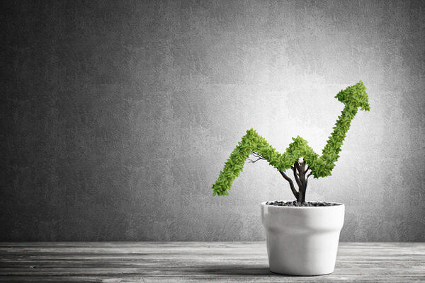 Reward Strategy - Media Library - growth