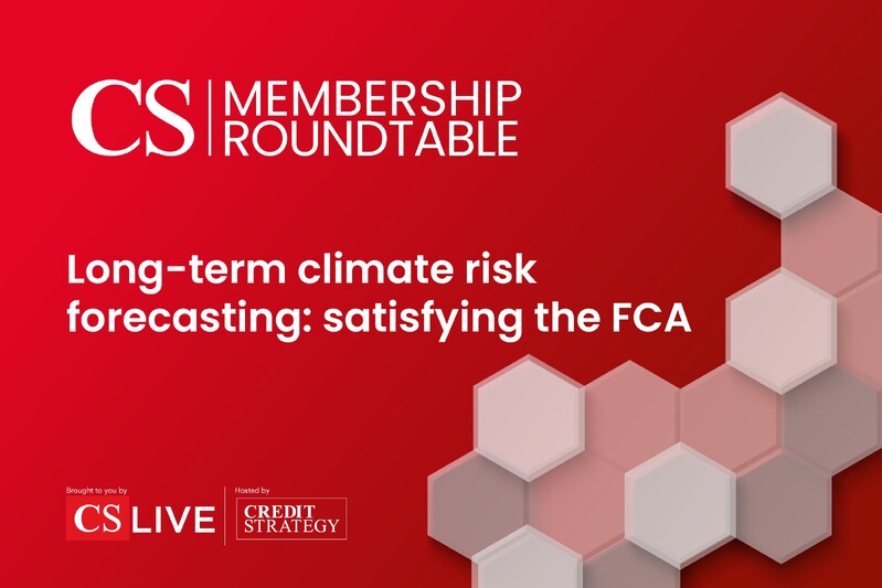 Credit Strategy - Media Library - Climate risk roundtable.jpeg