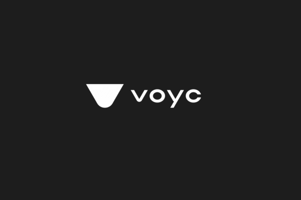 Credit Strategy - Media Library - voyce (1)